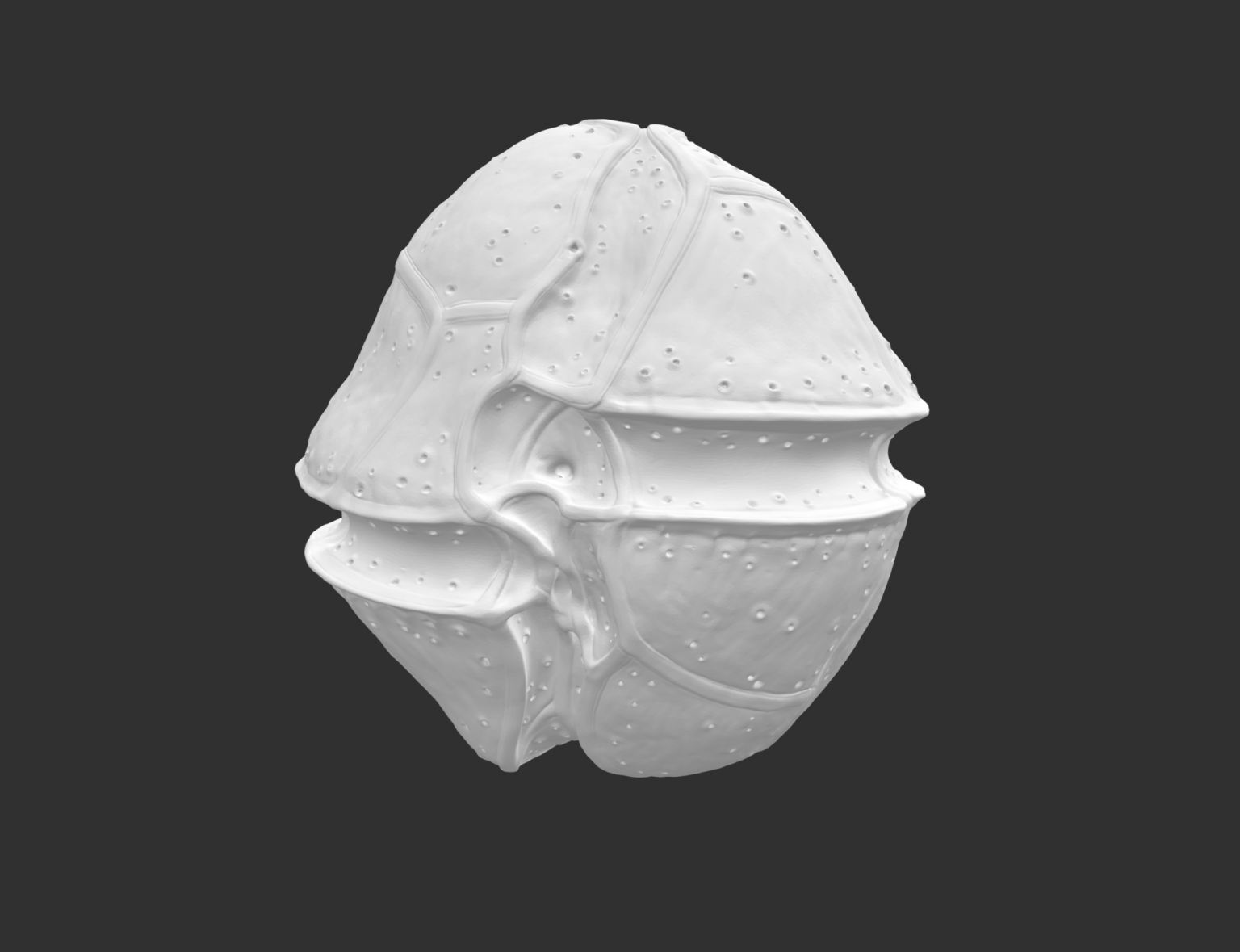 Interactive Graphics and 3D Models – Harmful Algal Blooms